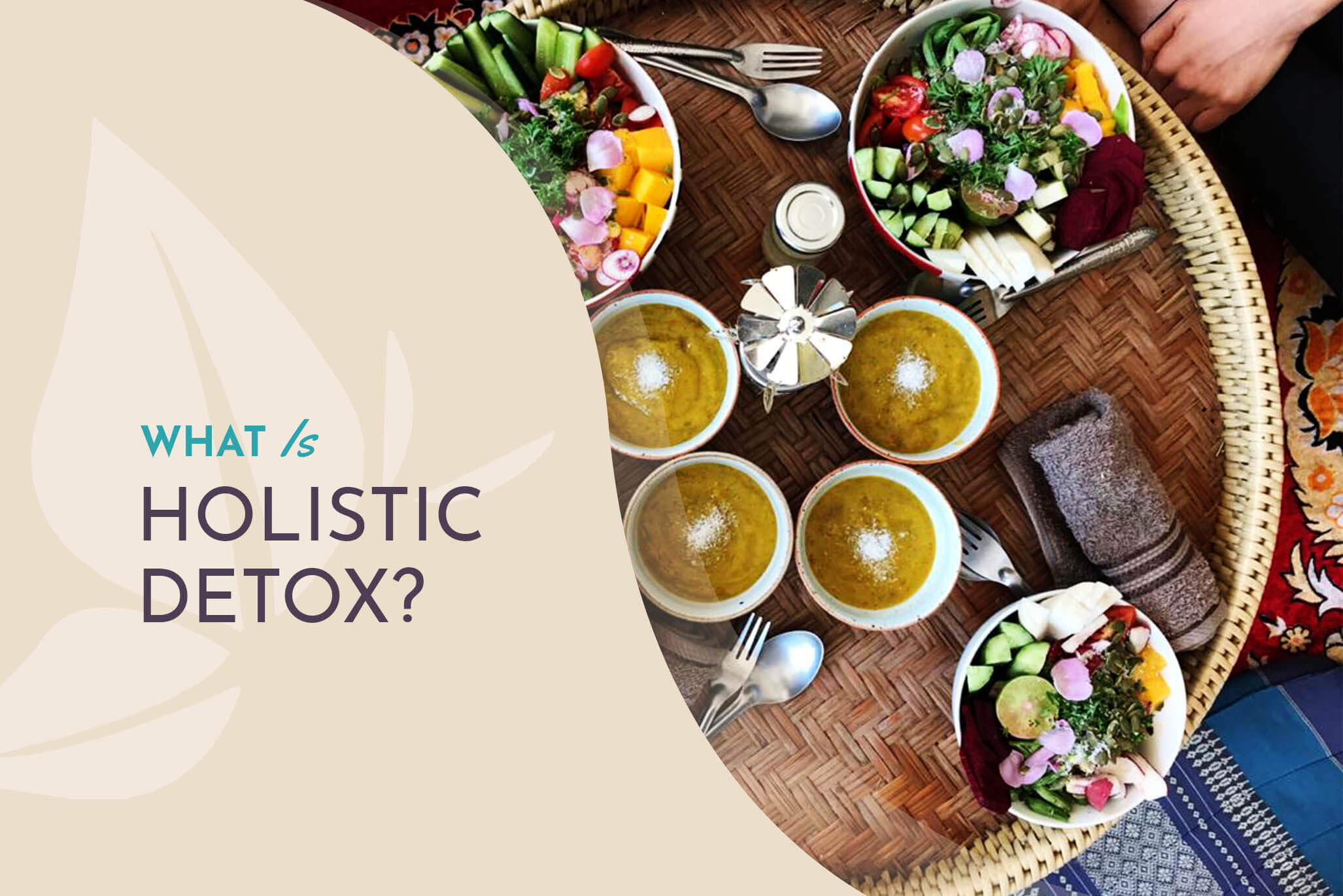 What is a Holistic Detox - Living with The Spirit - Living with The Spirit
