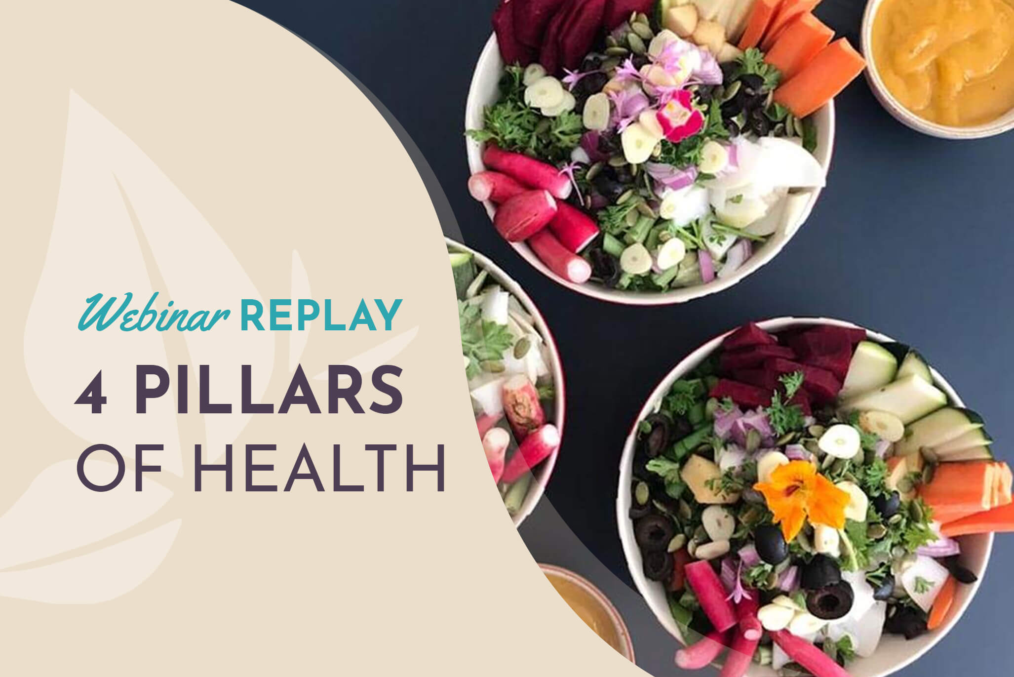 Four Pillars Of Health Webinar Replay- Living with The Spirit